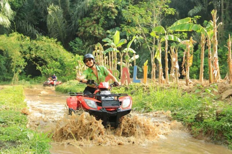 Ultimate Adventure with Bali Tarantula ATV (Hotel Transfer) - Who Should Consider This Tour?