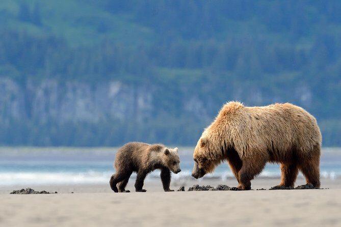 Ultimate Alaskan Adventure: Ocean Wildlife to Interior Wilderness 9 Day/8 Nights - Frequently Asked Questions