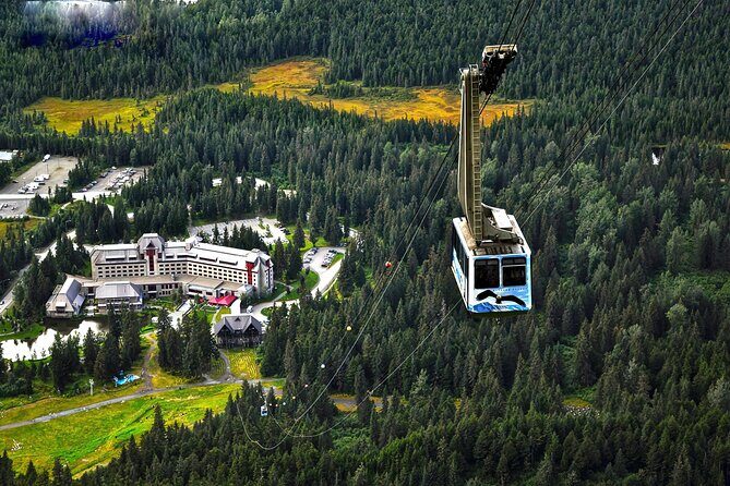 Ultimate Anchorage and Turnagain Arm Private Full Day Tour - Addressing Possible Drawbacks