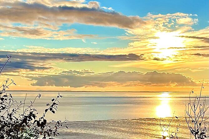 Ultimate Anchorage Winter Wildlife & Sunset Tour - Transport and Group Size