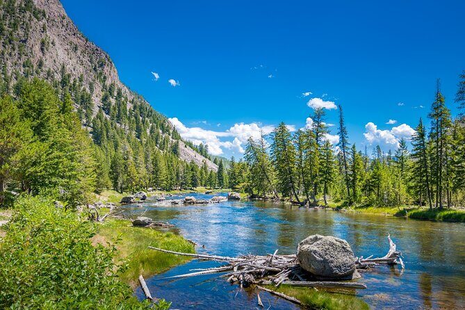 Ultimate Audio Tours: Yellowstone, Glacier, Grand Teton & Banff - Cost and Value
