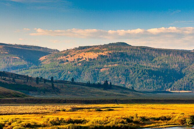 Ultimate Audio Tours: Yellowstone, Glacier, Grand Teton & Banff - The Sum Up