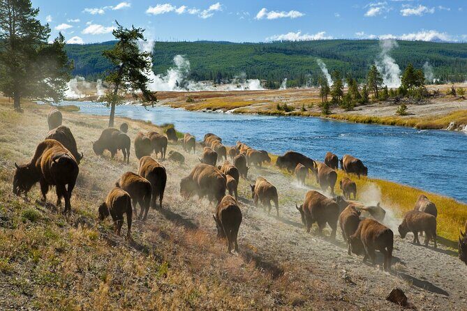 Ultimate Audio Tours: Yellowstone, Glacier, Grand Teton & Banff - FAQ