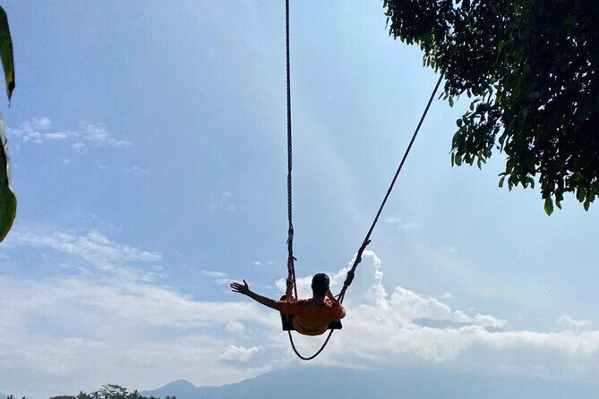 Ultimate Bali | Privately Guided TikTok Tour with Driver / Guide - Practical Tips for a Smooth Day