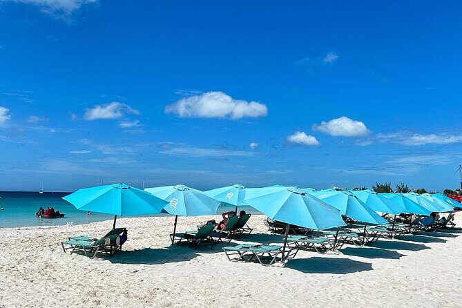 Ultimate Barbados Beach Day And Snorkel Cruise - What Travelers Are Saying