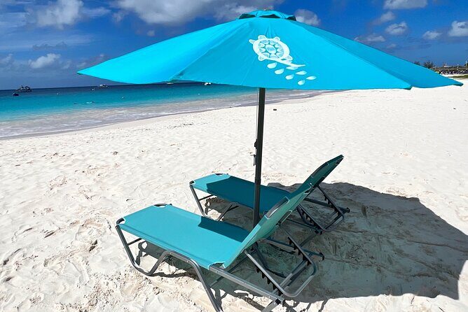 Ultimate Barbados Beach Day And Snorkel Cruise - The Experience’s Considerations