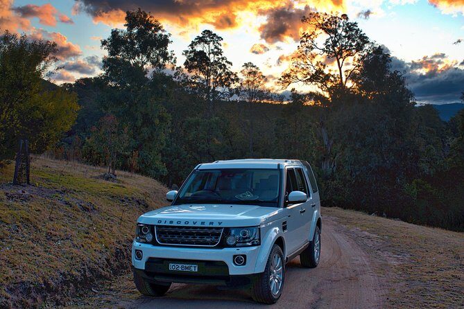 Ultimate Blue Mountains and Wildlife Tour - An In-Depth Look at the Blue Mountains and Wildlife Experience
