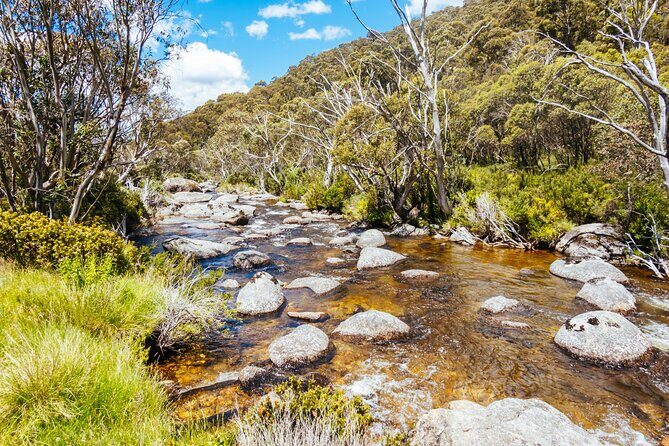 Ultimate Blue Mountains and Wildlife Tour - Final Thoughts