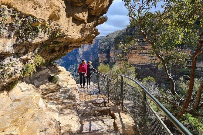 Ultimate Blue Mountains Private Tour with Scenic World and Wildlife Park - The Itinerary - A Walkthrough