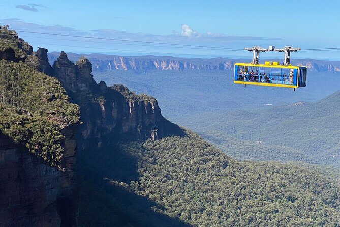Ultimate Blue Mountains Private Tour with Scenic World and Wildlife Park - Practical Details and Why They Matter