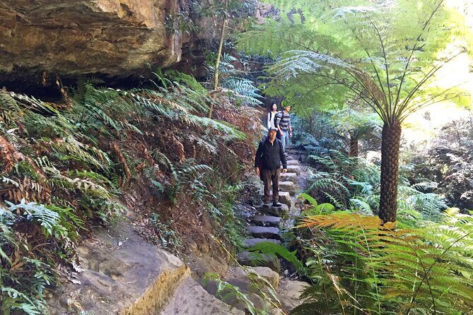 Ultimate Blue Mountains Private Tour with Scenic World and Wildlife Park - The Sum Up