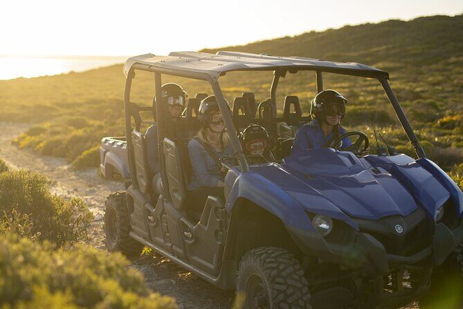 Ultimate Buggy Tour in Kangaroo Island - Detailed Itinerary Breakdown