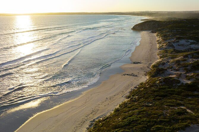 Ultimate Buggy Tour in Kangaroo Island - Practical Tips for Visitors
