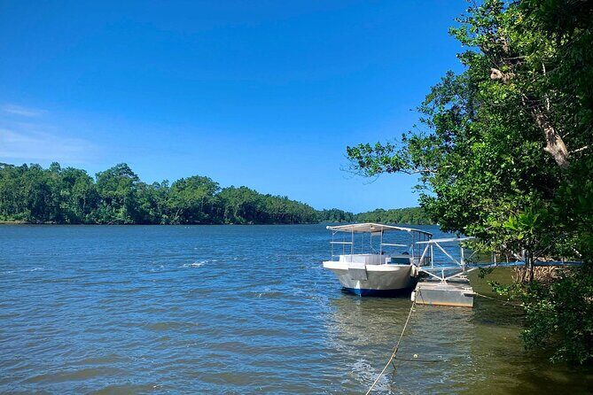 Ultimate Daintree Rainforest Wildlife Experience Cruise - Why This Tour Represents Good Value