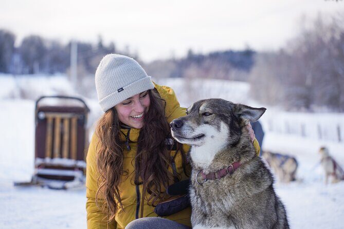 Ultimate Dog Sledding Tour - Day trip from Ottawa & Gatineau - Why This Tour Works for Different Travelers