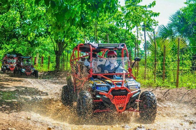 Ultimate Dune Buggy and ATV Adventure with Cenote, Beach & Ranch - Key Points