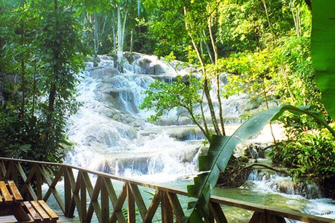 Ultimate Dunn's River Falls hike and swim and Natural wonder - Authentic and Well-Reviewed