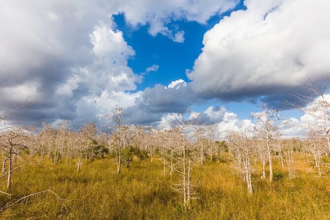 Ultimate Florida Self Guided Driving & Walking Audio Tour Bundle - Practical Tips for Making the Most of Your Tour