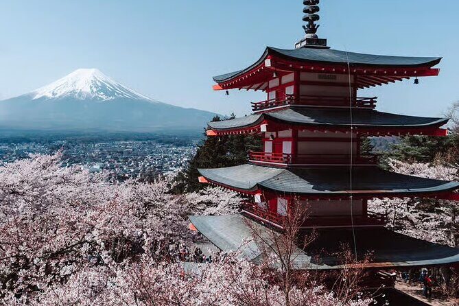 Ultimate Fuji Photography Expedition Hidden Gems - Analyzing the Value and Cost