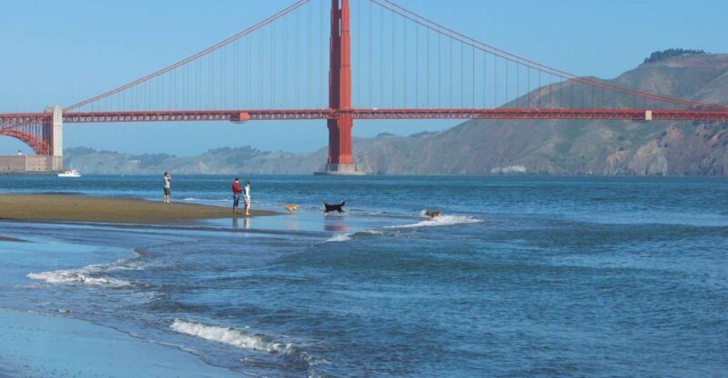 Ultimate Golden Gate Bridge & SF Bay Explorer Tour - An In-Depth Look at the Experience