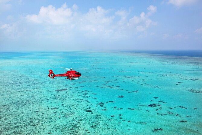 Ultimate Great Barrier Reef and Rainforest 45-minute Helicopter Tour - Concluding Thoughts
