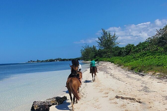 Ultimate Jamaica Adventure:ATV, Bamboo Rafting & Horseback Riding - Authenticity and Local Insight