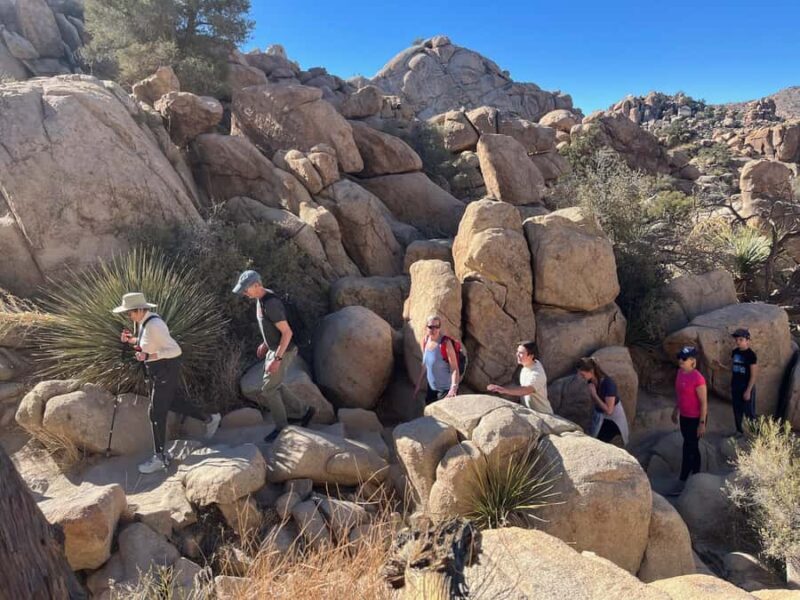Ultimate Joshua Tree National Park Private Group Adventure - The Itinerary: What to Expect