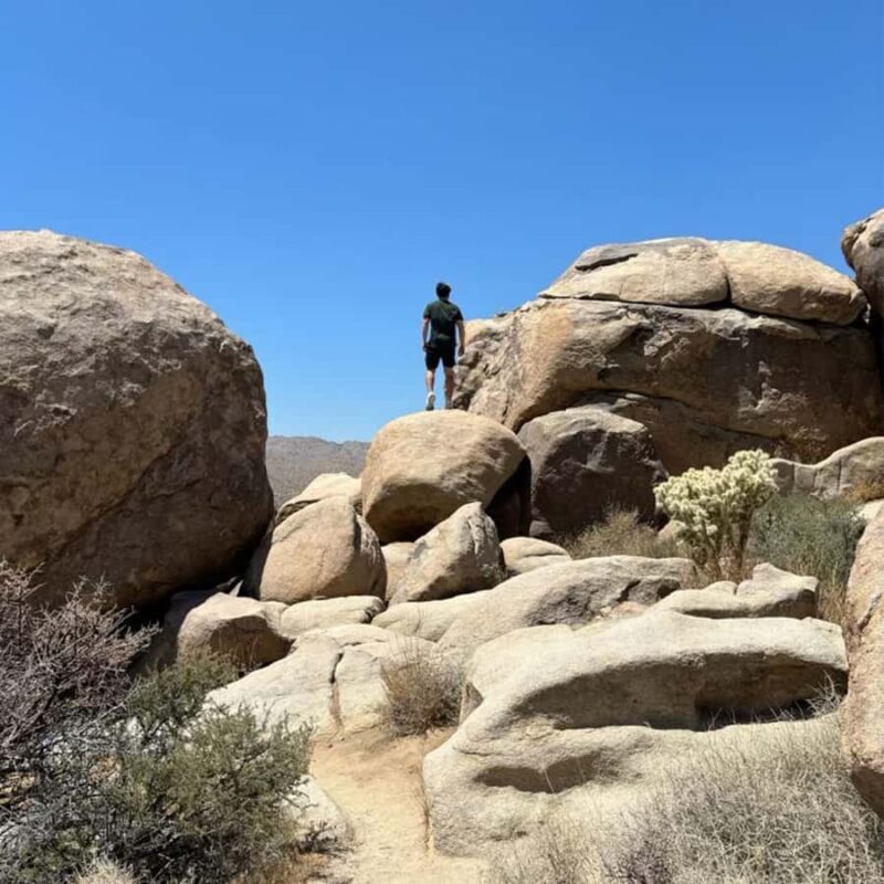 Ultimate Joshua Tree National Park Private Group Adventure - Frequently Asked Questions (FAQs)