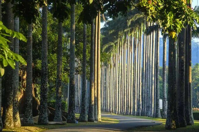 Ultimate Journey in Sri Lanka 4 Day Tours - FAQ