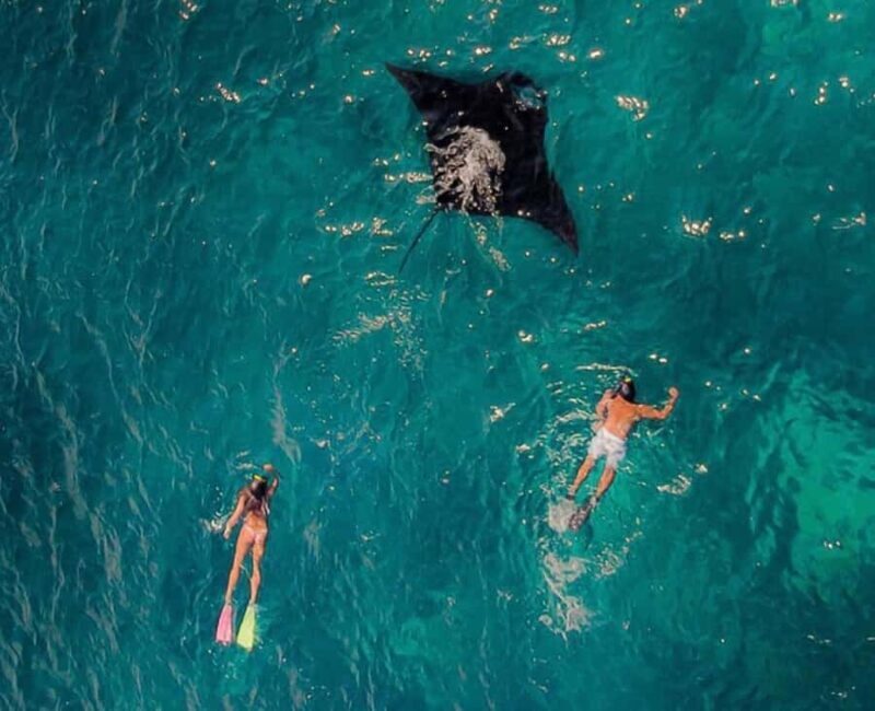 Ultimate Labuan Bajo Experience: 6 Amazing Destinations - Who Should Consider This Tour