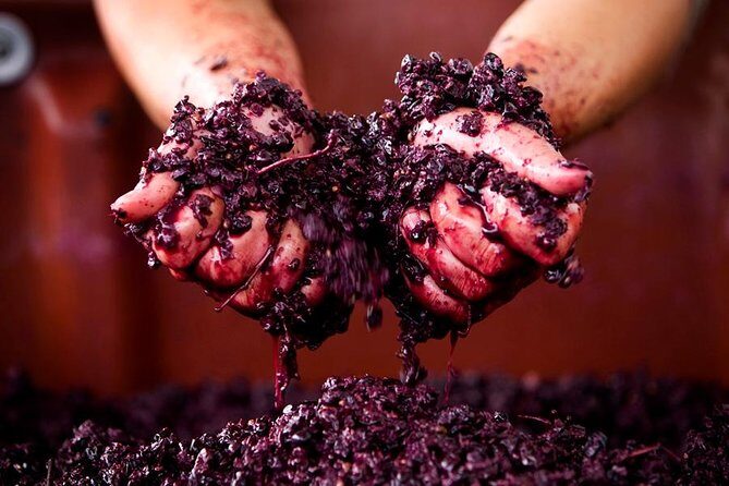 Ultimate Mornington Peninsula Food and Wine Small Group Tour - Authenticity and Insider Tips