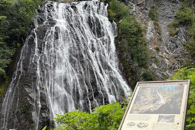 Ultimate Mount Rainier National Park Self-Guided Driving Tour - Authentic Feedback & Perspectives