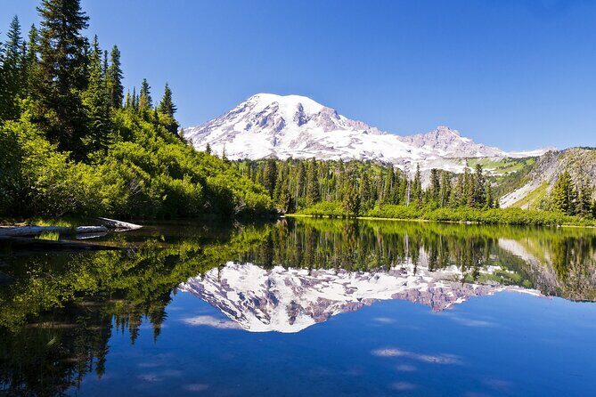 Ultimate Mount Rainier National Park Self-Guided Driving Tour - The Sum Up