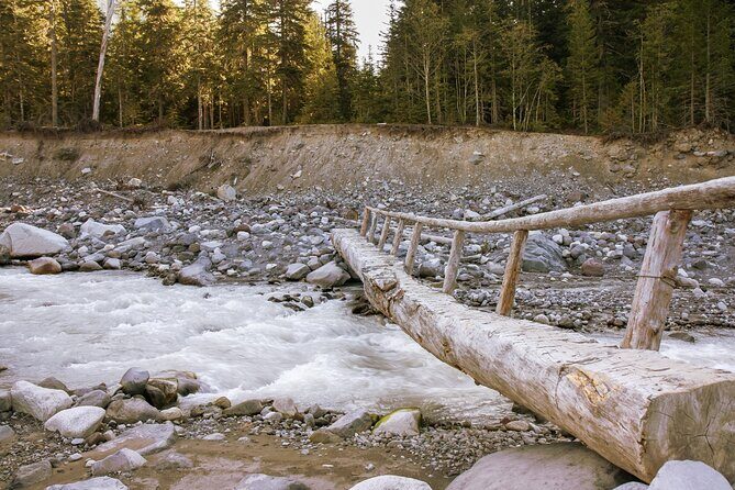Ultimate Mount Rainier National Park Self-Guided Driving Tour - Final Thoughts