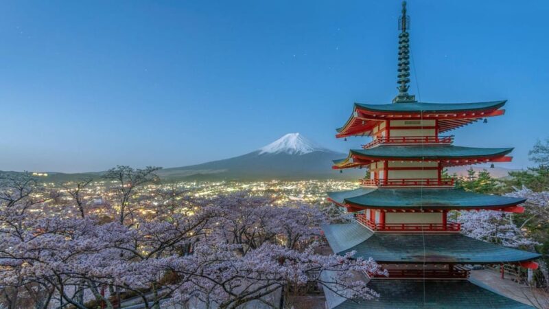 Ultimate Mt. Fuji Private Escape: Day Trip from Tokyo - A Private Tour with a Personal Touch