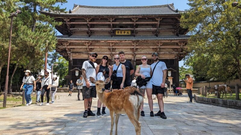 ULTIMATE NARA WALK: Temples, Knives, Crafts & Tea Ceremony - Key Points