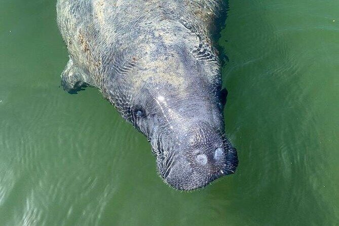 Ultimate National Park Expedition Dry Tortugas Everglades - FAQs