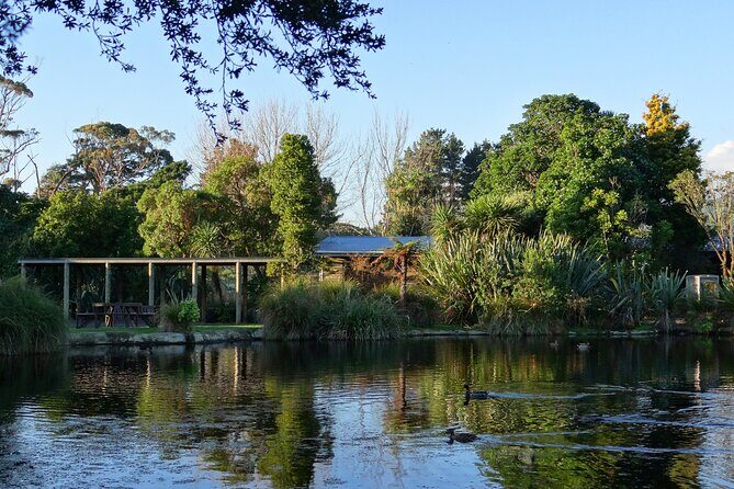 Ultimate Overnight Kiwi Experience - Final Thoughts