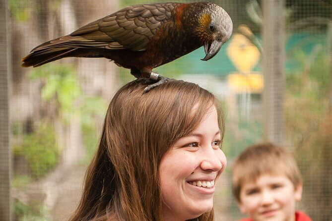 Ultimate Overnight Kiwi Experience - FAQ