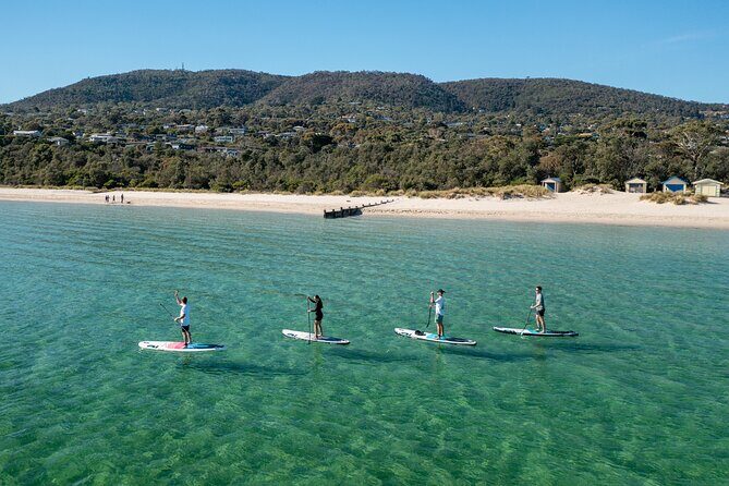 Ultimate Peninsula Adventure: Stand Up Paddle, Hot Springs, Hike, Lunch & Winery - Key Points