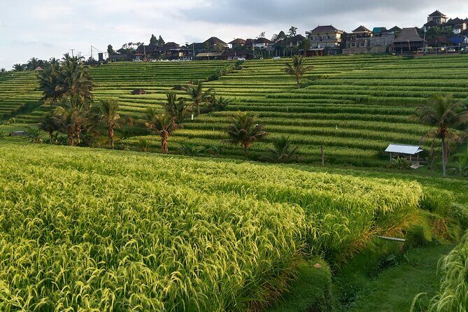 Ultimate Private "2 Days 1 Night North East Bali " - FAQ