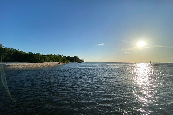 Ultimate Private Scalloping Adventure in Crystal River - The Wildlife and Scenery