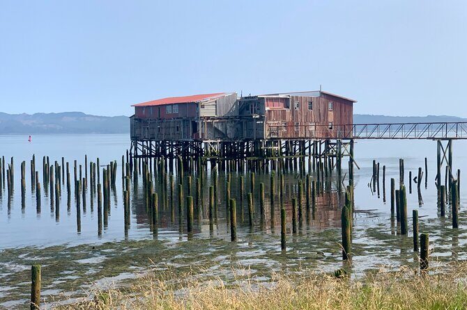 Ultimate Scavenger Astoria - Who Should Consider This Tour?