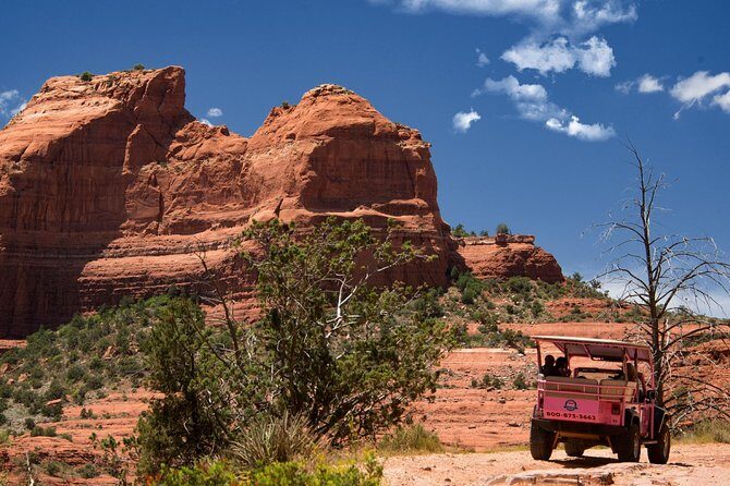 Ultimate Scenic Rim Adventure - Who Should Book This Tour?