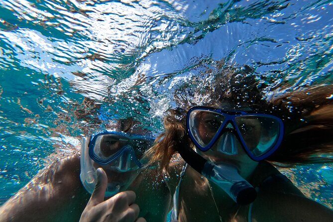 Ultimate SeaXscape Pigs/Turtles/Snorkel/Lunch/Drinks/PU/DO - Who Will Love This Tour?