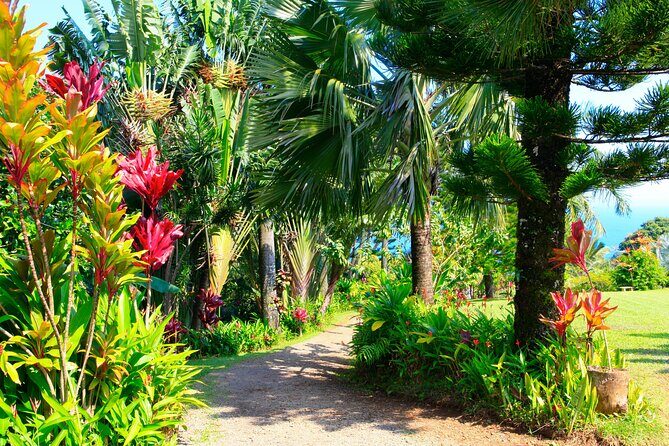 Ultimate Self-Driving Audio Tour of Road to Hana, Maui - Introduction: What’s on Offer?