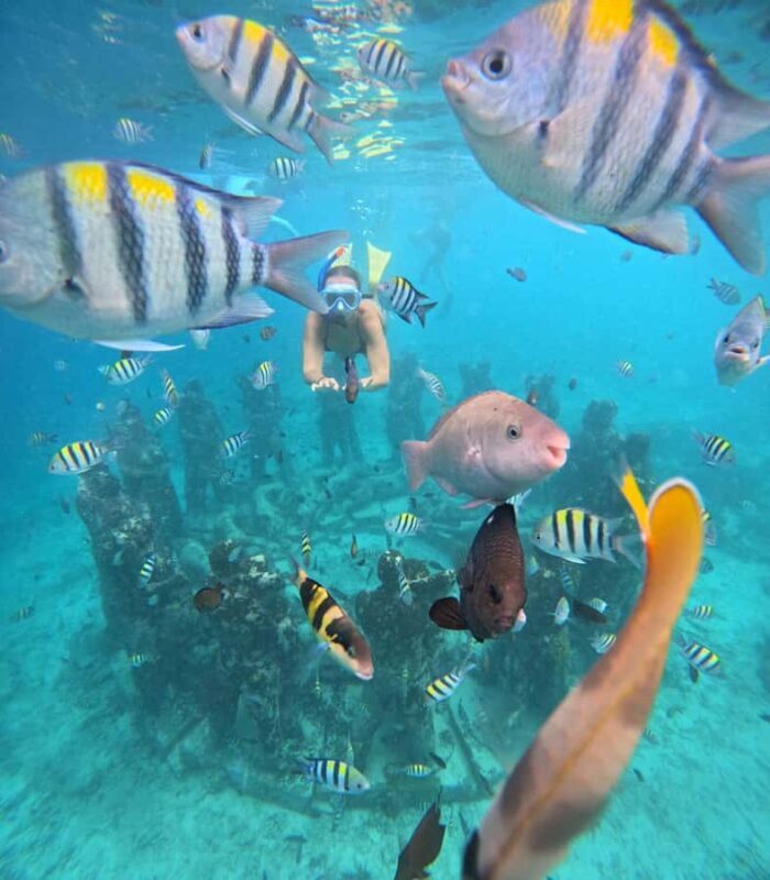 Ultimate Snorkeling Escape to the Wonders of Gili Island - Key Points