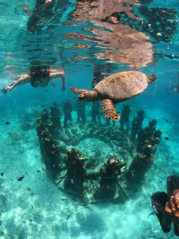 Ultimate Snorkeling Escape to the Wonders of Gili Island - Authentic Marine Encounters and Tips