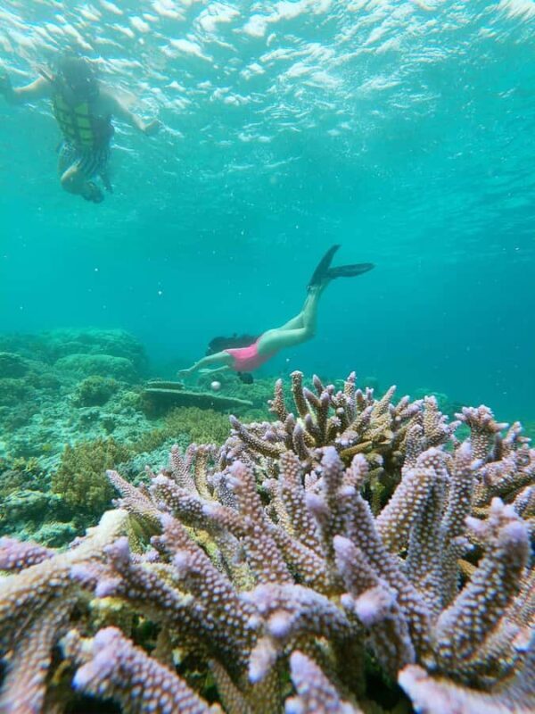 Ultimate Snorkeling Escape to the Wonders of Gili Island - The Sum Up