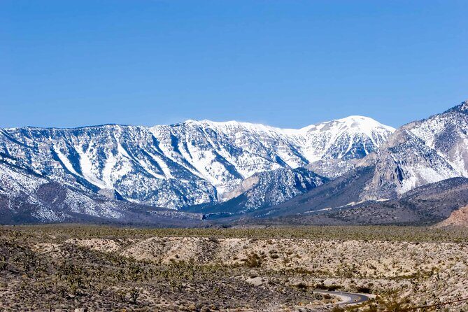 Ultimate Snowplay Adventure at Mount Charleston - Who Will Love This Experience?